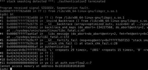 Buffer Overflow Bypass Stack Canary By Going Past The Return Address