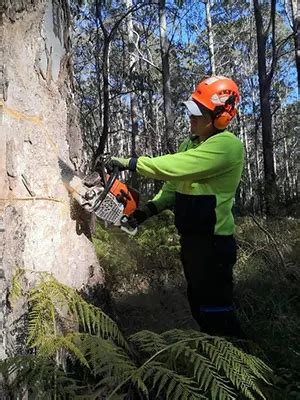 Tree Service Columbia SC