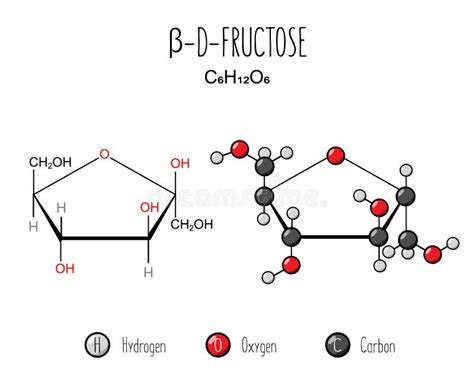 Fructose Structure Diagram Fructose Glucose And Sucrose How Your