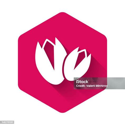 흰색 피스타치오 견과류 아이콘은 긴 그림자 배경으로 분리되어 있습니다 핑크 육각형 버튼 벡터 0명에 대한 스톡 벡터 아트 및 기타 이미지 Istock