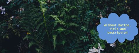 Add Two Buttons Or Remove Button In Weebly Landing Page Webnots