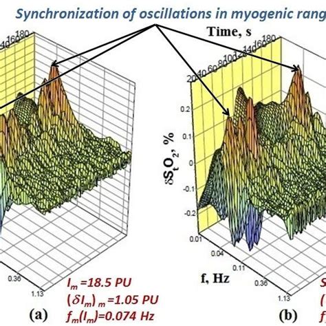 Typical Example Of The 3d Wavelet Analysis Of Resonating And Download Scientific Diagram