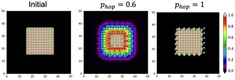 A Finite Droplet Is Allowed To Evolve Under Quantum Zeno Measurement Download Scientific