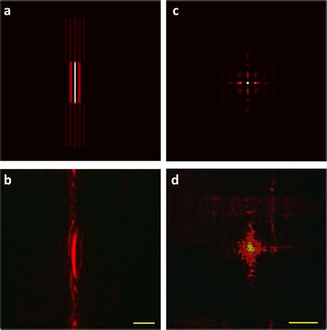 Fourier Transform Of The T Shaped Aperture Array By The Multifunctional Download Scientific
