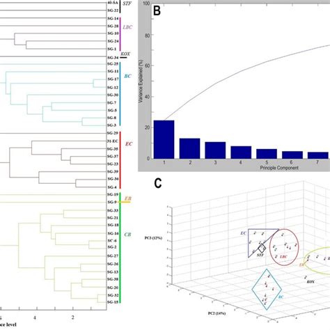 Maldi Tof Ms Biotyper Pca Analysis Of Bacterial Strains Isolated From