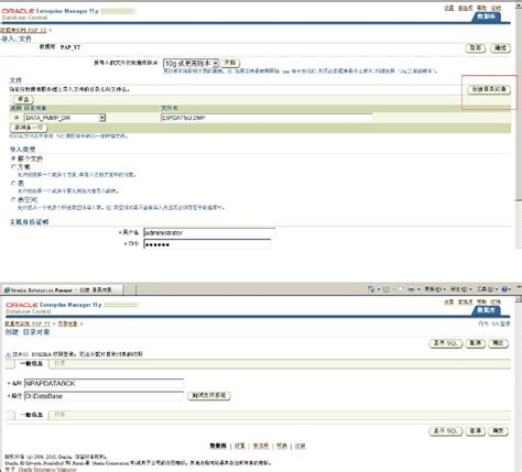 Oracle 11g Em导入数据库 Doc 墨天轮文档