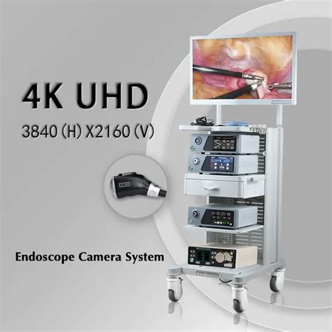 4k Display Integrated Laparoscopy System For Endoscopy System 4k