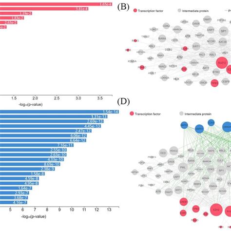 A Construction Protein Protein Interaction Ppi Network Of The Download Scientific Diagram