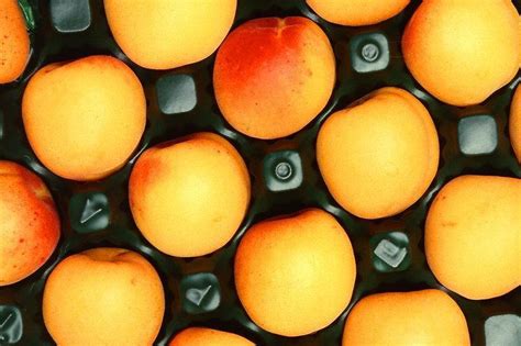 Cool Chain Association To Pilot Data Sharing Initiative