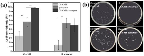 Development Of Crosslinker Free Polysaccharide Lysozyme Microspheres