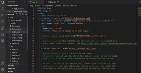Duda Porque Una Vez Que Cargué La Imagen De Favicon Y Modifico El