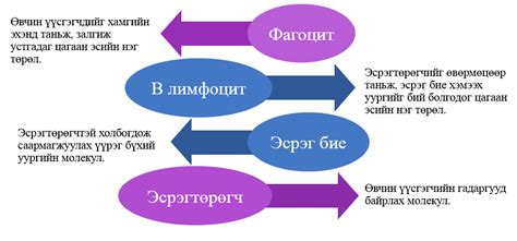 Мэдлээ Цахим контент