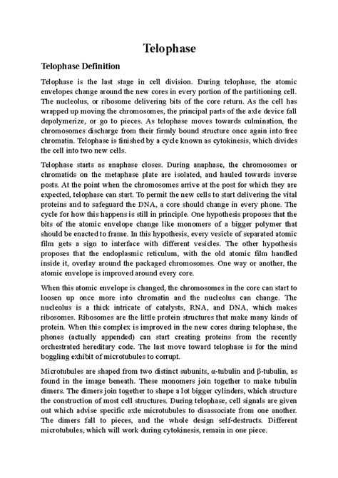 Telophase Telophase Telophase Definition Telophase Is The Last Stage In Cell Division During
