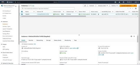hayden paul r on linkedin mernstack aws ec2 route53