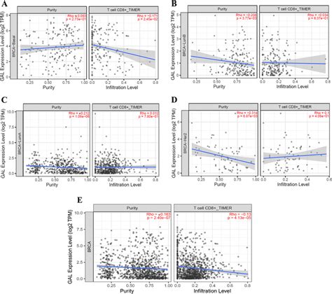 The Relationship Between Gal Expression And The Cd8 ⁺t Cell Relative Download Scientific