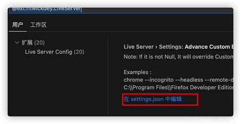 本地vs Code 插件 模拟服务器环境调试前端包live Server 运行dist包并解决接口跨域问题vs前端解决跨域问题插件