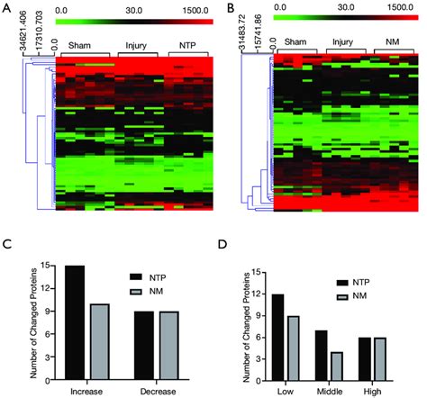 Protein Profiles After SCI And Treated By NTP And NM A B Heat Map