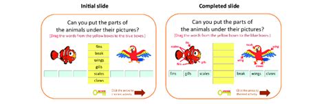 Drag And Drop Activity Slide 6 Download Scientific Diagram