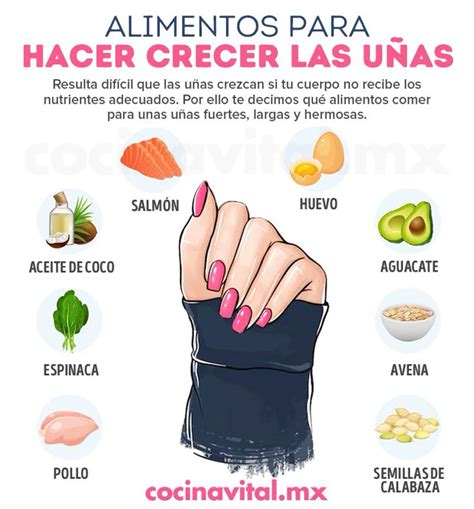 7 Alimentos Para Hacer Crecer Las Uñas Cocina Vital Crecer Las Uñas