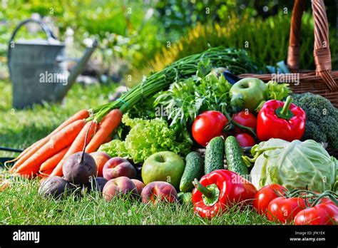 Variety Of Fresh Organic Vegetables And Fruits In The Garden Stock