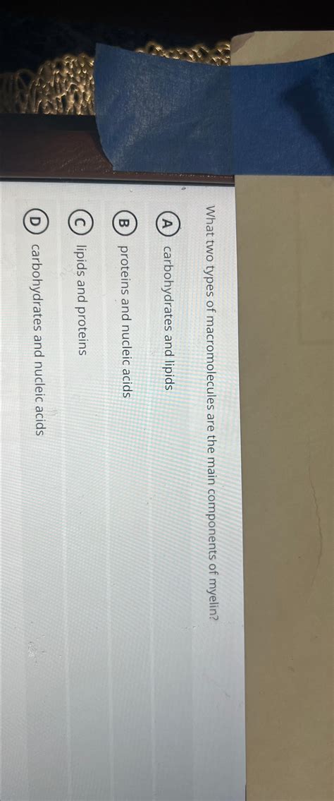 Solved What Two Types Of Macromolecules Are The Main