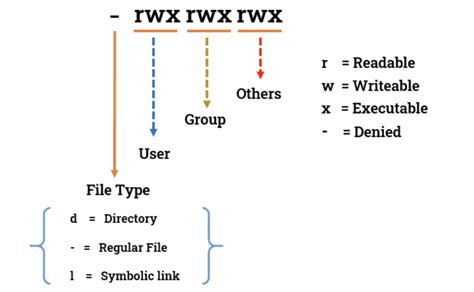 Tìm Hiểu Chung Về Phân Quyền Trong Linux