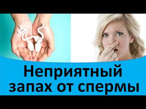 Выделения пахнут спермой хлоркой из влагалища