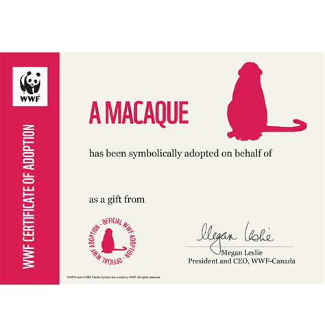 Adopt A Macaque Monkey Plush And Certificate T Kits