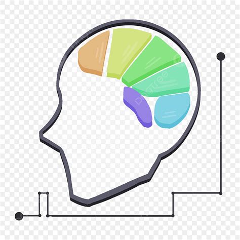 Analysis Clipart Hd Png Brain Analysis Chart Illustration Colored