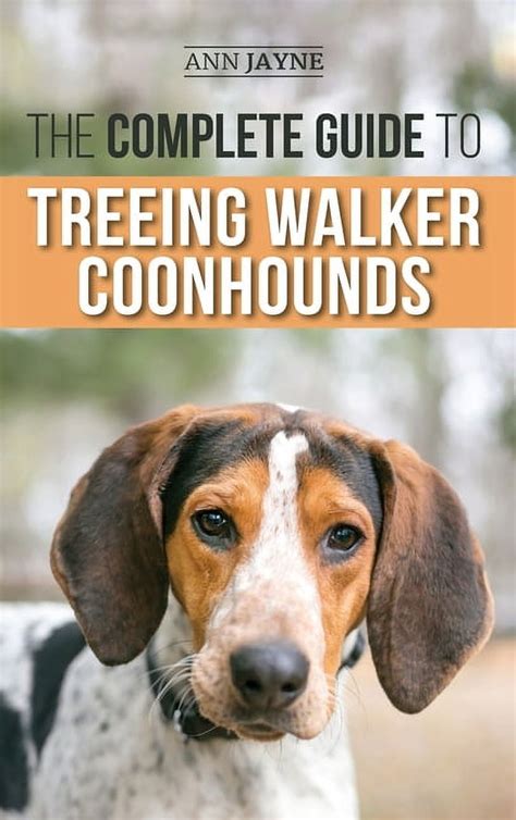 Walker Coonhound Puppy