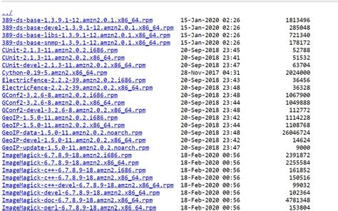 Nginx Yum Proxy Repository Setup For Amazon Linux Ec