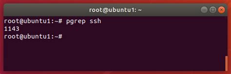 How To View Running Processes On Linux