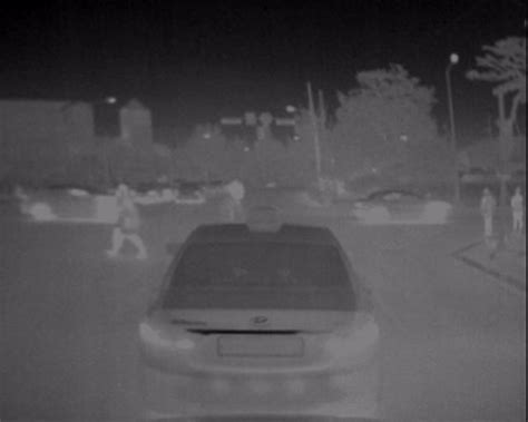 Multispecobjdetr Object Detection Dataset By Objv2