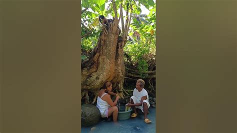 Pinagtripang Ang Naglalaba Sa Ilog San Carlos Viners Just For Fun Youtube