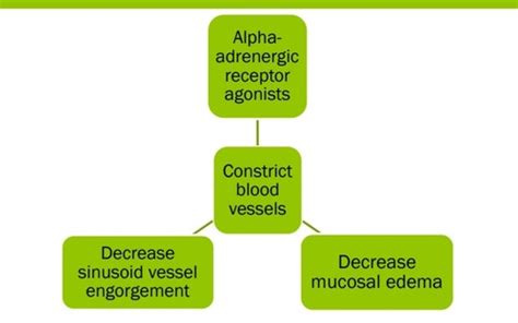 Cold Congestion Flashcards Quizlet
