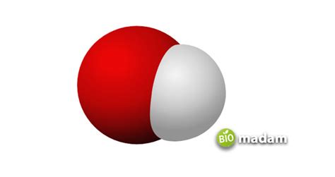 Difference Between Strong And Weak Bases Biomadam