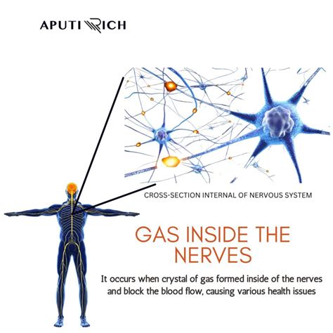 Types Of Gases Related Problem Aputirich Centre