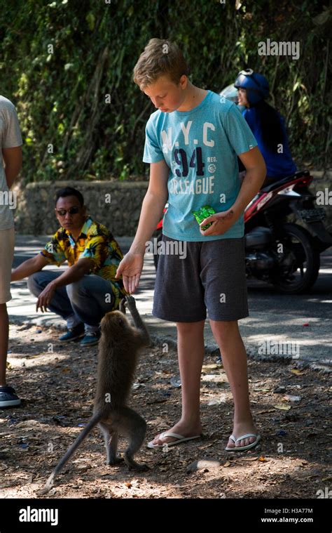 Indonesia Lombok Mataram Pusuk Pass Monkey Forest Tourist Feeding