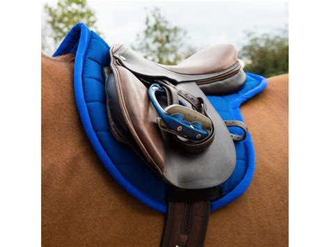 Polypads Forma Saddle Pad Acorn Saddlery