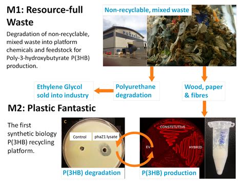 Polylactic Acid Degradation