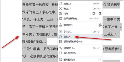 Wps文档中如何设置 允许西文单词中间换行”360新知