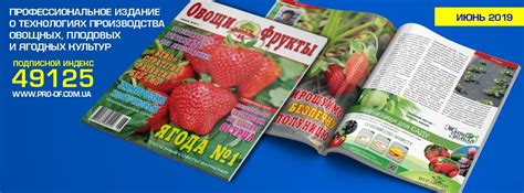 Передплата Овощи и Фрукты журнал