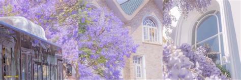 Aesthetic Header Flower Header Lavender Aesthetic Twitter Header Aesthetic