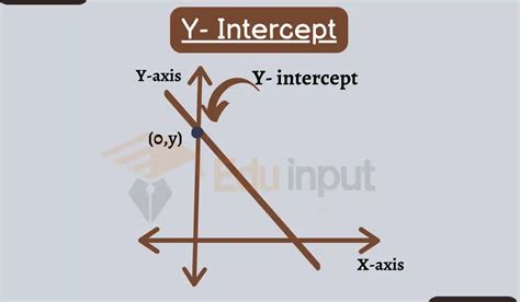 10 Examples Of Y Intercept
