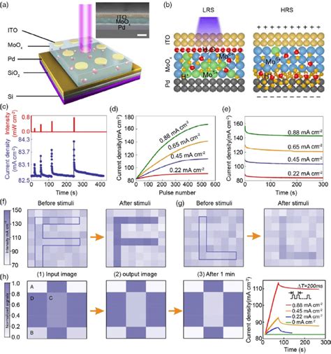 a schematic illustration of optoelectronic resistive random access download scientific diagram