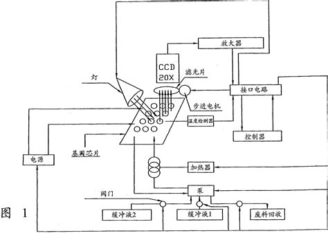 Device And Method For Detecting Gene Sequence Eureka Patsnap