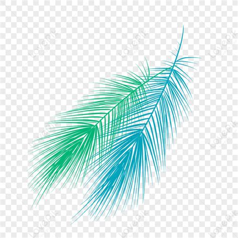 벡터 일러스트 손으로 그린 잎입니다 나뭇잎야자 잎 Png 일러스트 무료 다운로드 Lovepik