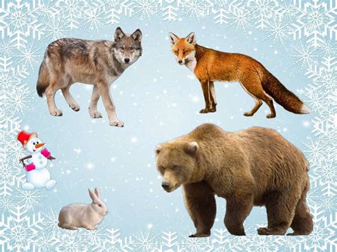 Речевая интерактивная викторина для детей старшей группы на тему «ЗИМА Online Presentation