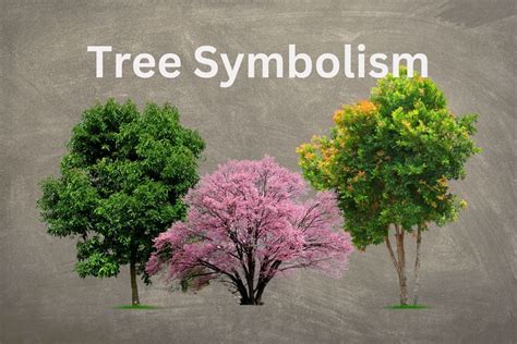 The Secrets Of Tree Symbolism Symbolscholar