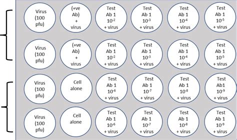 Antibody Screening Assays Institute Of Advanced Virology Kerala